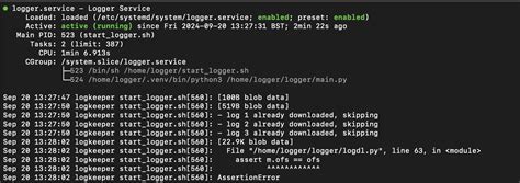 Service Assertionerror When Launching Python Via Systemd Stack Overflow