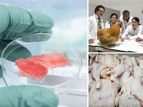 Lab Grown Meat Revolution Dr Michael Greger S Insights