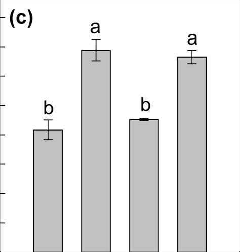 Total Root Length A Specific Root Length B Root Surface Area C