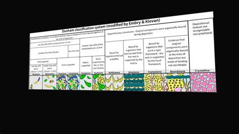 Dunham Classification 3d Models Sketchfab Dunham Classification 3d Models Sketchfab