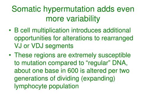 Ppt Antibody Diversity Powerpoint Presentation Free Download Id144339