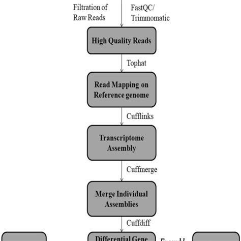 rna sequencing analysis workflow download scientific diagram