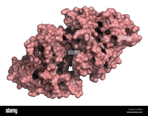 Irisin Molecular Structure