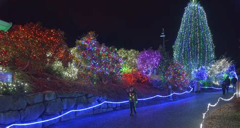Point Defiance Light Show At Laci Briggs Blog