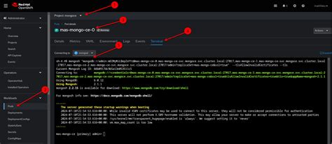 How To Open A Mongo Shell For Mas Mongodb