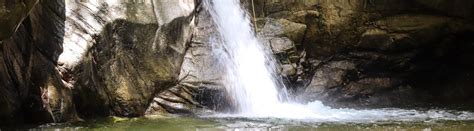 Canopy Indio Zip Line Puerto Vallarta Zip Line Tours 2x1 Promo Deal