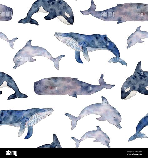 Seamless Pattern With Orcinus Orca Cachalot Dolphin Humpback Wild Inhabitants Of The Seas