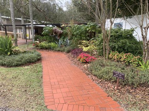 Big Cat Rescue Tampa Florida Exotic Animal Sanctuary • Deep Water