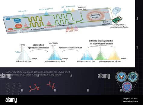 Schematic Of The Interleaved Difference Generation Idfg Dual Comb Spectroscopy Dcs Setup
