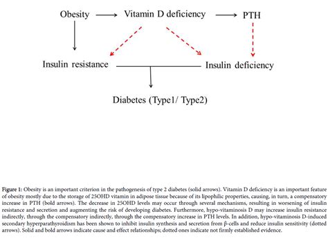The Relationship Between Vitamin D Insulin Resistance And Infert