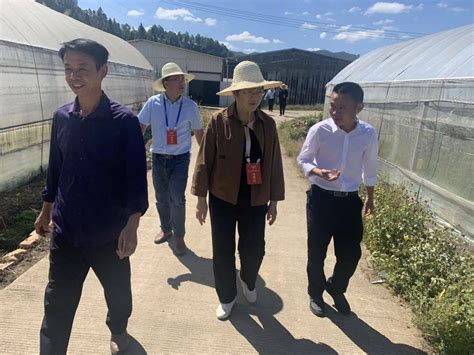 县政协开展盘活农村闲置资产调研 清凉镇 盘谷乡 乡村