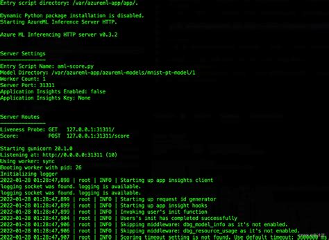 在azure上大规模部署模型——第2部分：部署和扩展pytorch模型fastapi Deploy Torch Model Csdn博客