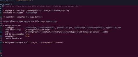 Lsp No Client Attached To Buffer Rneovim