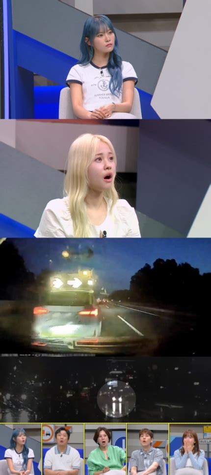 정보소식 한블리 고속도로 사고 수습 중 안타까운 사망사고 발생 인스티즈instiz 연예 카테고리
