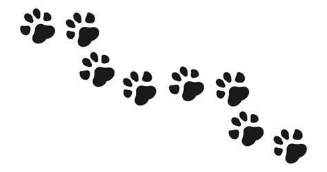 Paw Print Animation Optional Luma Matte Stock Footage Video 100 Royalty Free 1006572910