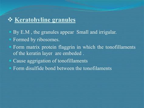Oral Mucosa Seminar Definition And Characteristics Ppt