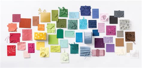 Kylie Shop Here Audemoid4002798 By Kylie Bertucci Independent