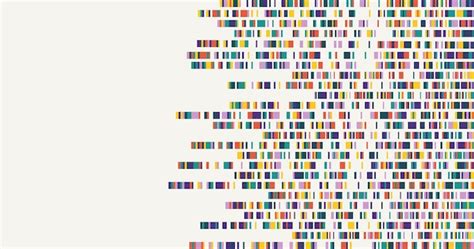 Dna 테스트 Infographic 게놈 시퀀스 맵 프리미엄 벡터