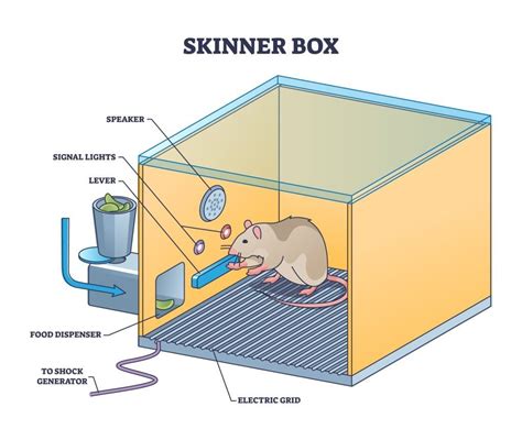Operant Conditioning In Psychology B F Skinner Theory Operant Conditioning Skinner Box
