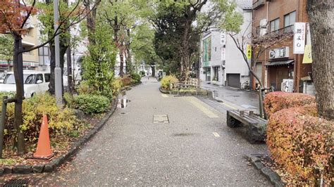 Puddle Object Detection Dataset By Test