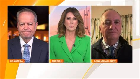 Bill Shorten Set To Axe Access To Sex Workers And Sex Toys From Ndis