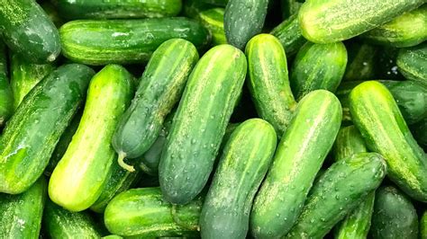 The Best Cucumbers To Use For The Crunchiest Pickles