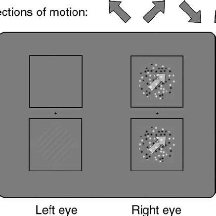 A Schematic Diagram Of The Procedure For Experiment Probe Download Scientific Diagram