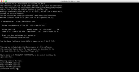 How To Install Python Sql And Bash For Non Devs