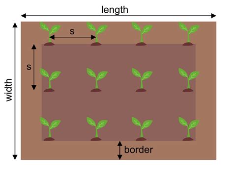 Cabbage Planting And Spacing At Lise Robertson Blog