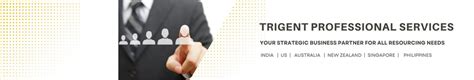 Trigent Software Professional Services Linkedin