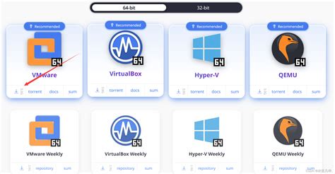 Kali入门指南：完美安装与配置教程kali虚拟机安装 Csdn博客