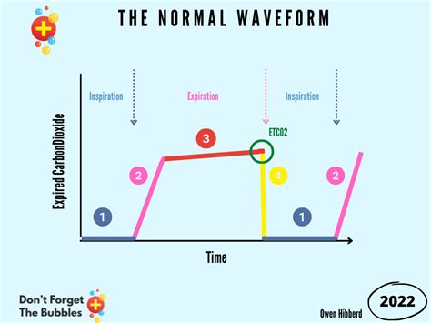 A Beginners Guide To Capnography Dont Forget The Bubbles