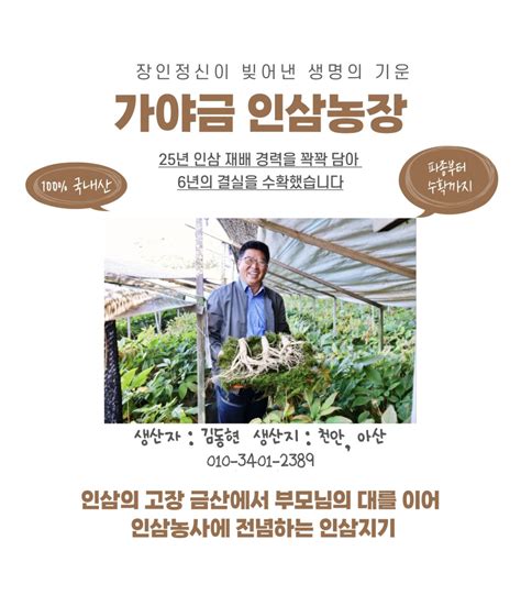 입접 기념 활인 판매 이벤트 8월 밴드 처음 입점으로 홍삼액 할인 판매합니다 할인 기간 23년 8월 한달간만 시행 60팩1박 농산물직거래장터[바른먹거리