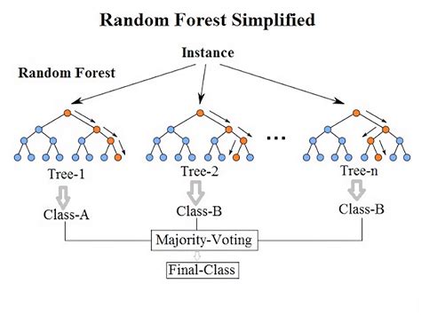 Decision Trees Vs Random Forests For Classification And Regression A Comparison Fabrizio