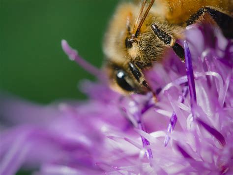 Mighty Macros Ty Finck Graphic Design In Ithaca New York