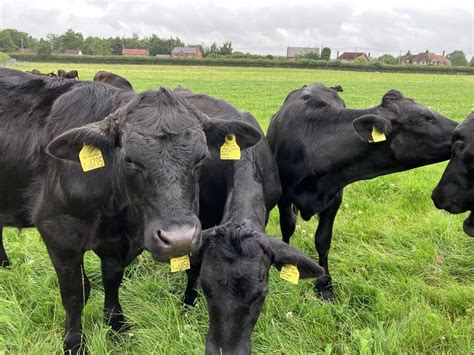 Natasha Maynard On Linkedin Yesterday I Joined Fellow Nutritionists At A Farm Event ‘connecting