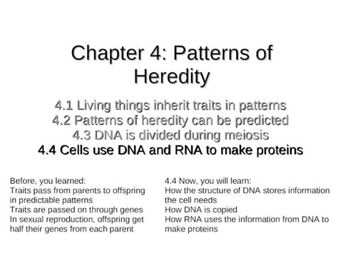 PPT Chapter 4 Patterns Of Heredity 4 1 Living Things Inherit Traits In Patterns 4 2 Patterns