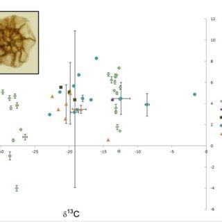 Stable isotope analysis data δ C and δ N values for main food Download Scientific