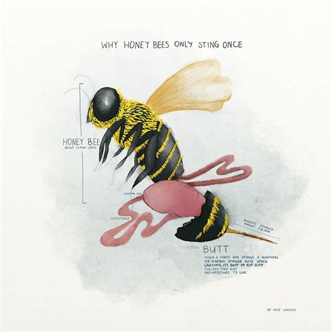 Bee Sting 77 Photos Porn Ddeva