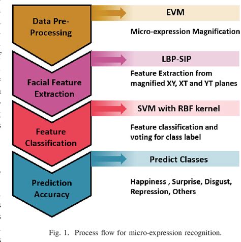 Figure 1 From Video Motion Magnification Based Approach For Improved Recognition Of Spontaneous