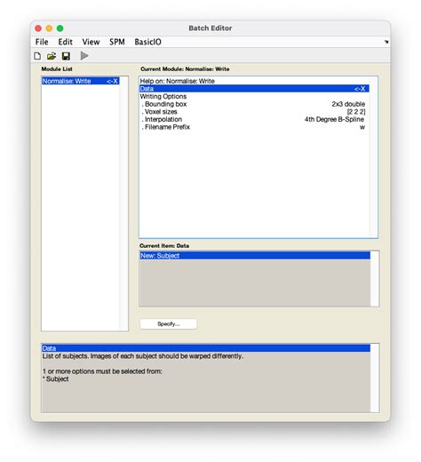 Normalisation Spm Documentation