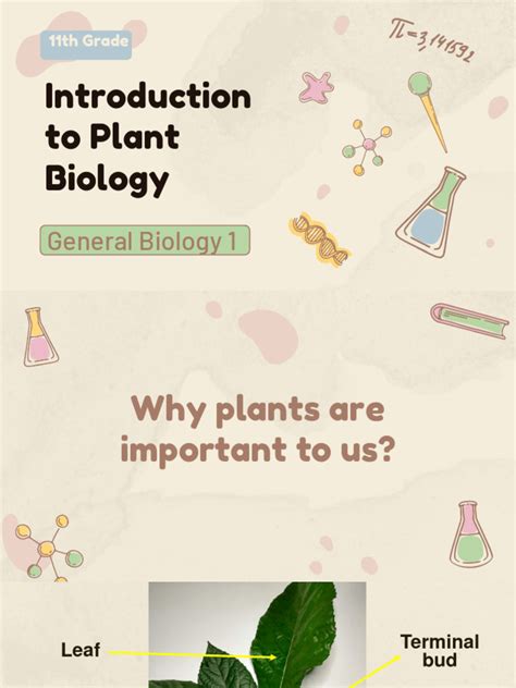 Week 1 Part 2 Introduction To Plant Biology Pdf Chloroplast Leaf