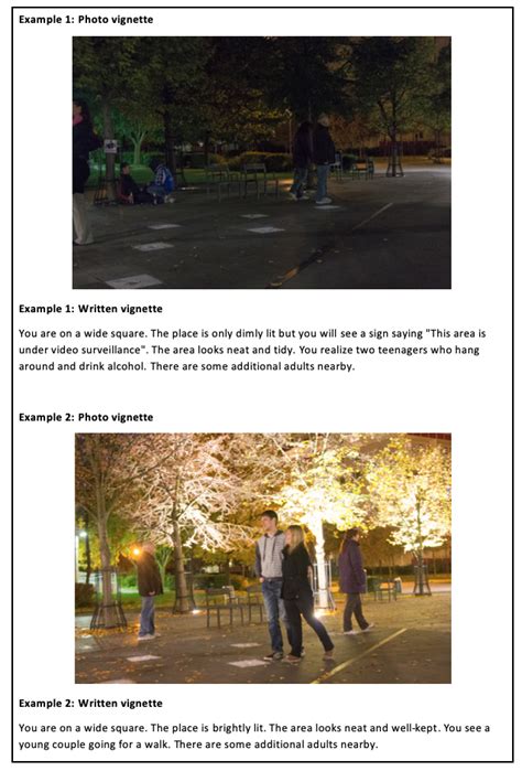 Presentation Format Differences In Factorial Surveys Written Vignettes Versus Photo Vignettes