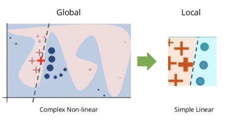 What Are Global Cohort And Local Model Explainability AI