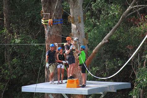 Tree Top Challenge Mt Tamborine Ropes Course Gold Coast