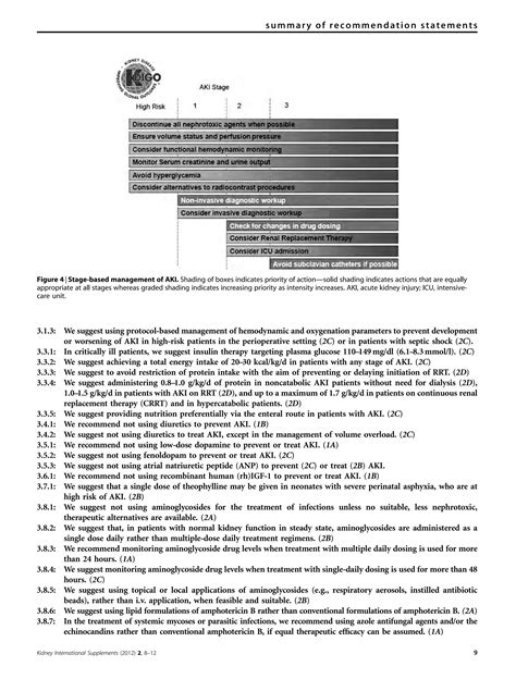 Kdigo Aki Guideline Pdf