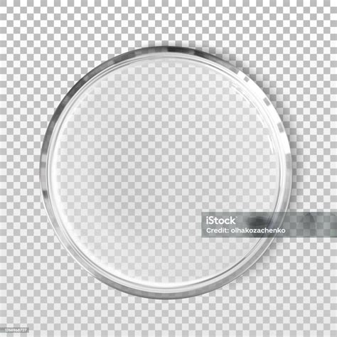 빈 페트리 접시 고립 된 사실적 벡터 일러스트레이션 개념 실험실 테스트 및 연구 투명 화학 유리 제품 페트리 접시에 대한 스톡 벡터 아트 및 기타 이미지 Istock