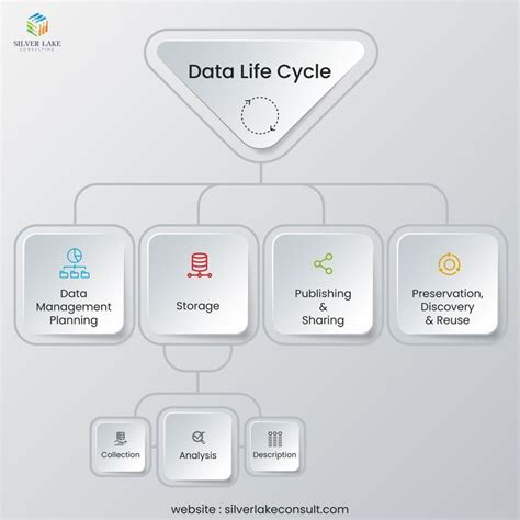 Data Life Cycle