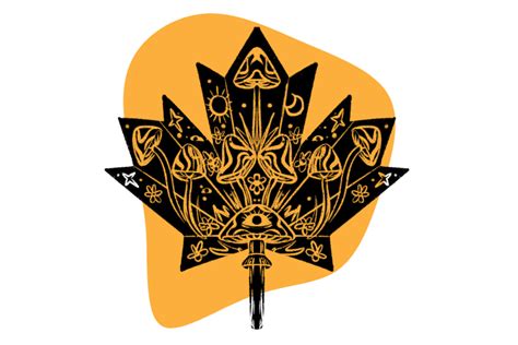 A Trip To The Bedroom The Impact Of Psychedelic Shrooms On Sex Tripsitter