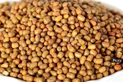 Laxmi Trading Company